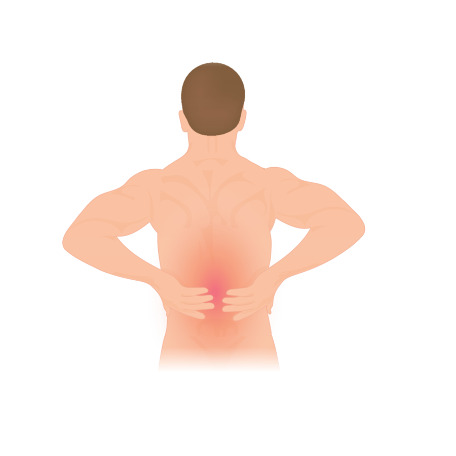 Back Pain Clipart Low Back Pain Musculoskeletal Disorder - Back Pain ...
