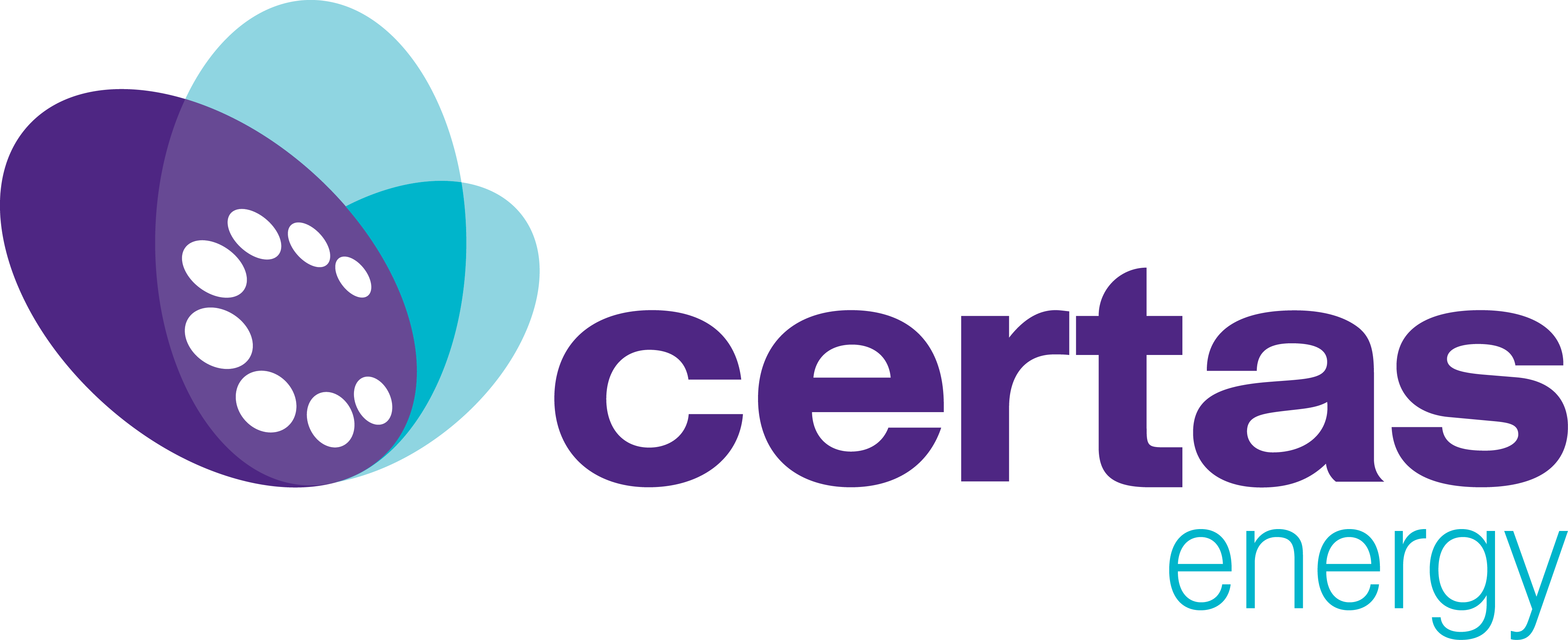 Recruitment & Employment Confederation - Certas Energy Uk Limited ...