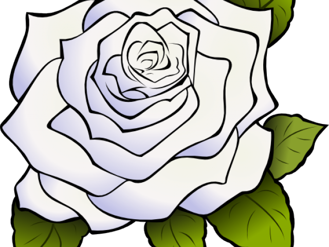White Rose Clipart Animated - Clipart White Rose Transparent Background ...