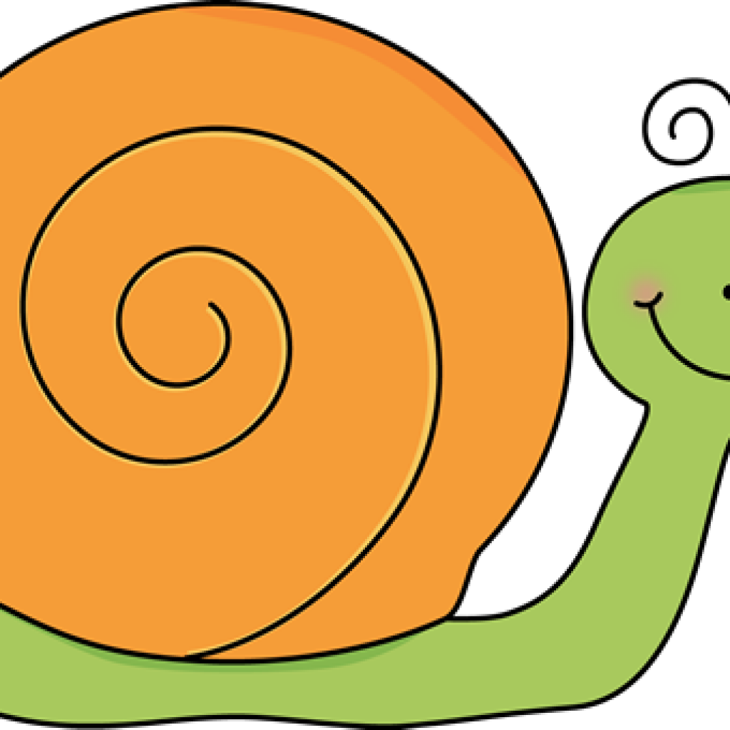 Snail Clip Art Free Snail Cliparts Download Free Clip - Clip Art - Png ...