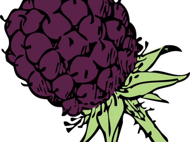 Berries Clipart Berry Bush - Blackberry Clip Art - Png Download - Full ...