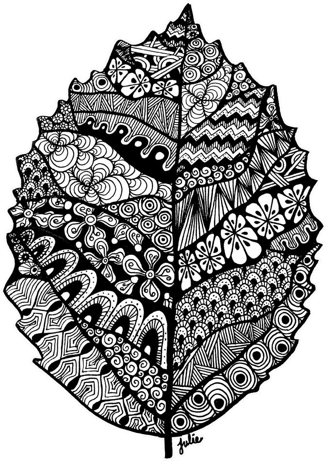Drawing Raindrops Zentangle Picture Transparent Library - Leaf ...