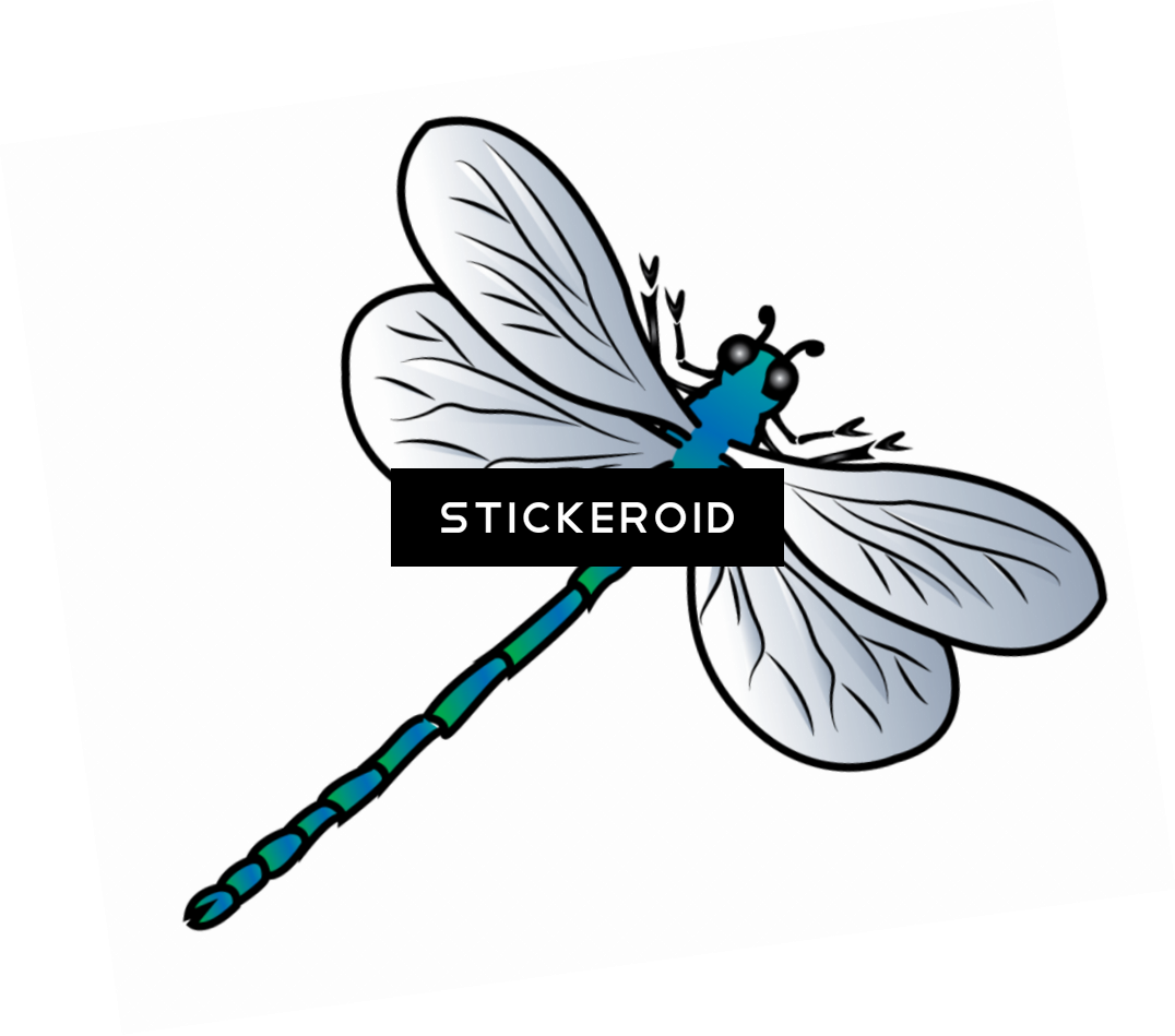 Dragonfly Insects Clipart - Full Size Clipart (#857094) - PinClipart