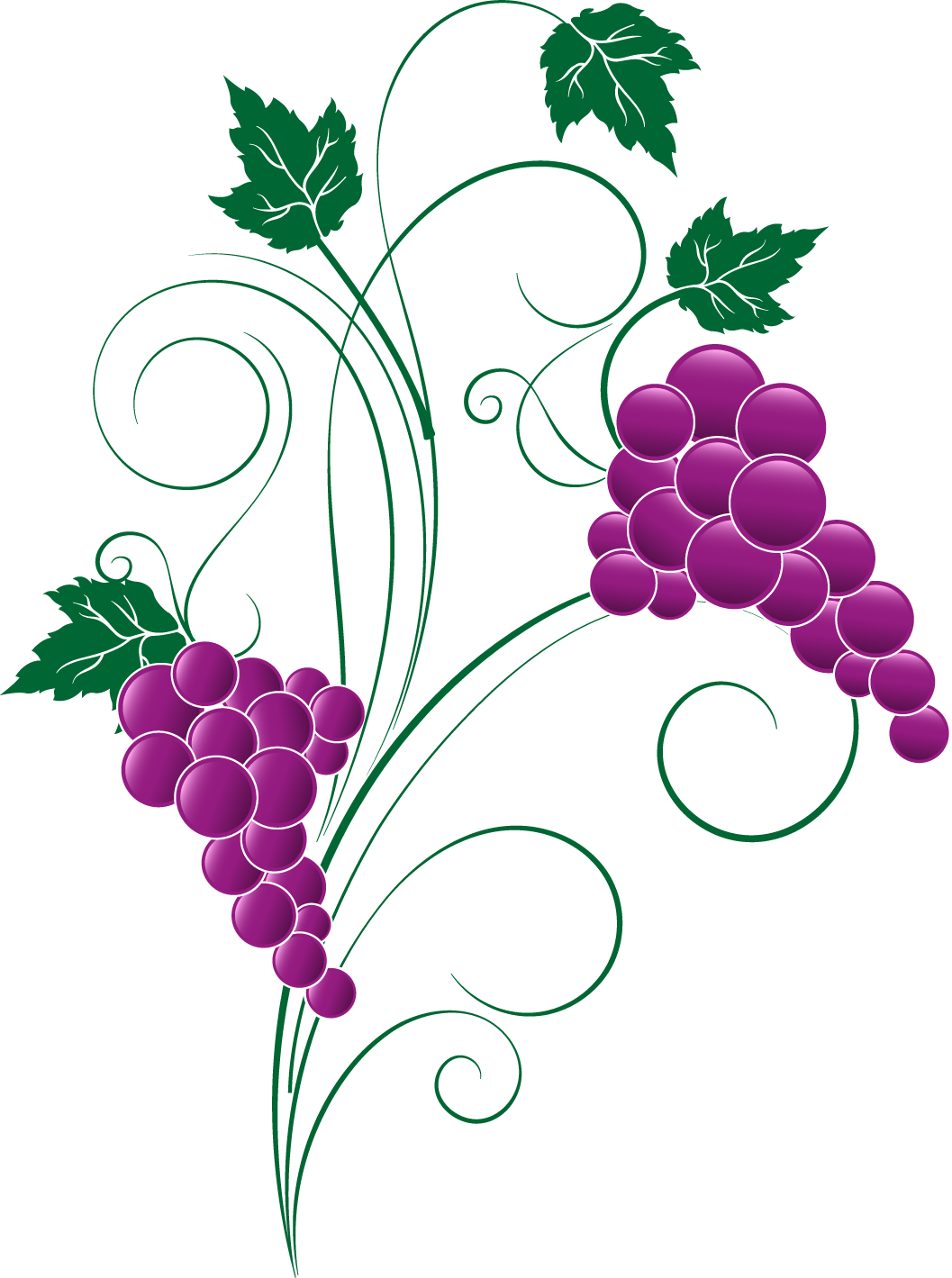 Png Transparent Free Images Only Image X - Grape Clipart - Full Size ...