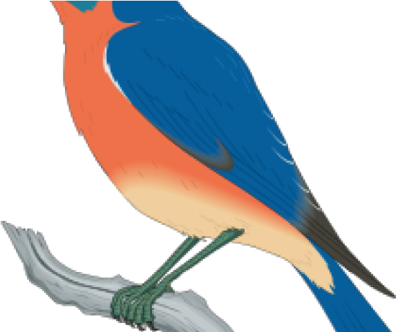 Free Bluebird Clipart - Blue Bird Clip Art - Png Download - Full Size ...