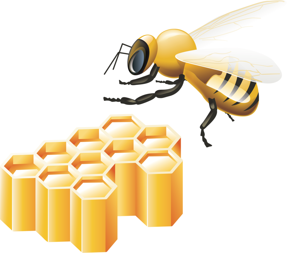 Медовые Соты И Пчелы - Bitcoin Bee Clipart - Full Size Clipart (#883347 ...
