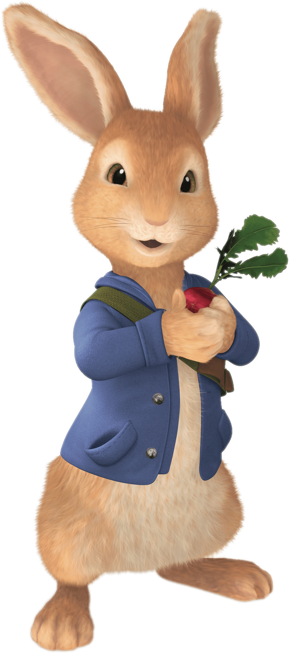 Download Clipart Bunny Friends - Peter Rabbit Voice Actor - Png ...