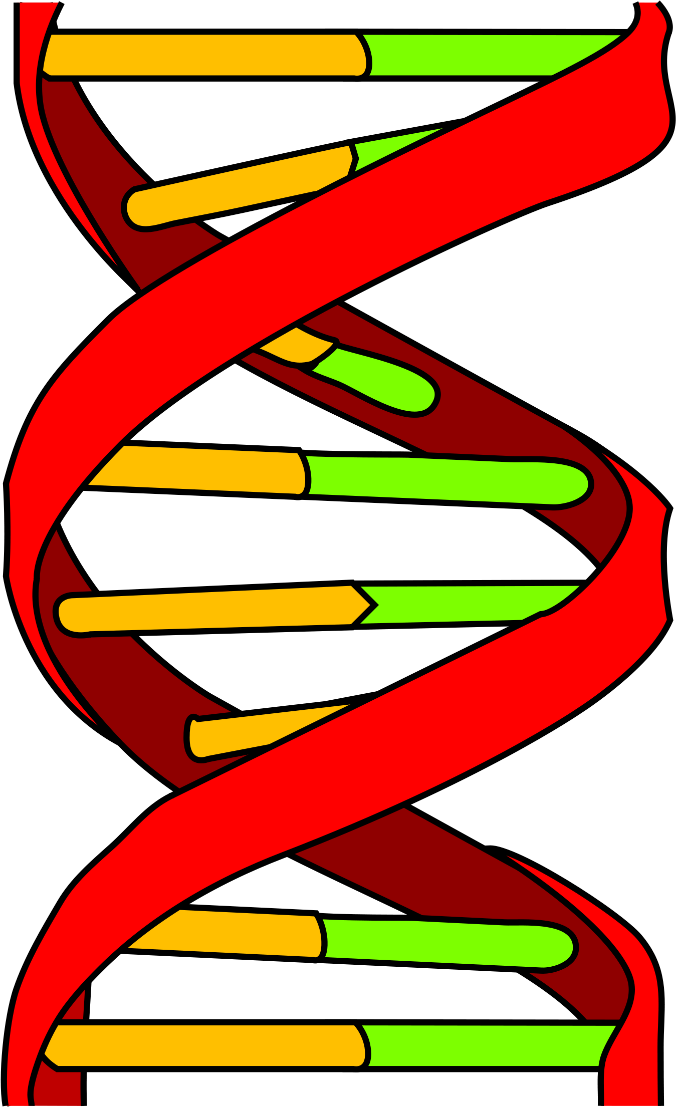 Dna Icon Clipart - Full Size Clipart (#909929) - PinClipart