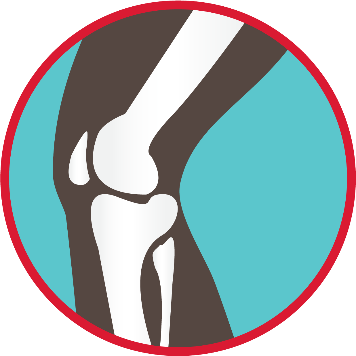 Download Bones Of The Knee Joint Graphic - Howth Clipart (#910899 ...
