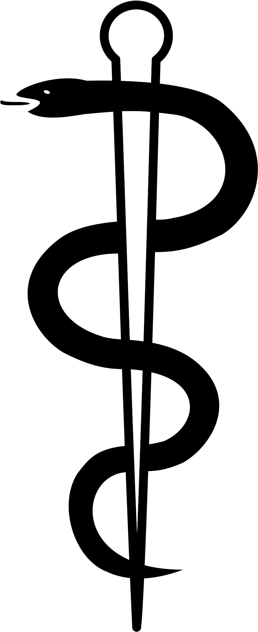 Big Image - Aesculap Snake Clipart - Full Size Clipart (#919229 ...