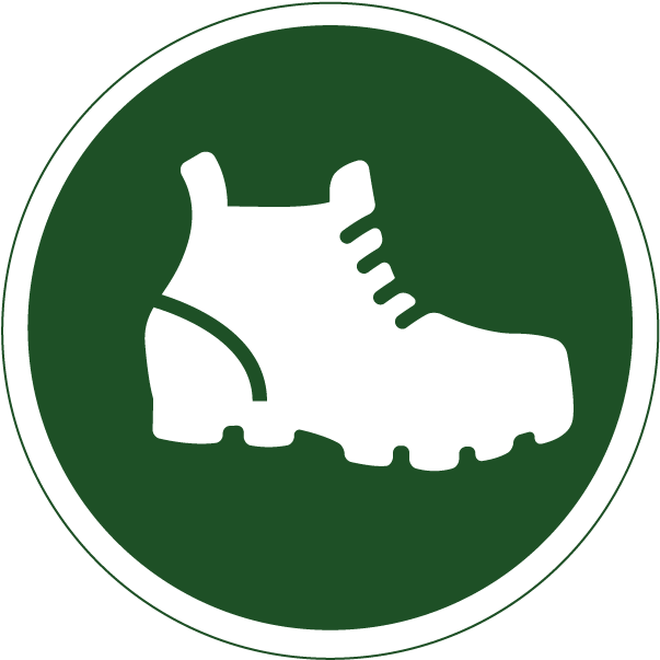 Download The Trend Setter - Icon Clipart (#948897) - PinClipart