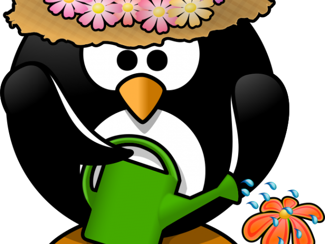 Spring Clipart Penguin - Colors Of A Penguin - Png Download - Full Size ...