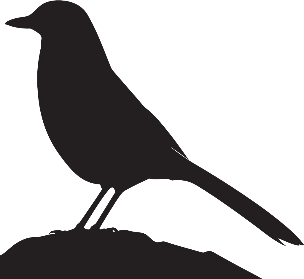 Download Vector Freeuse Download Silhouette At Getdrawings Com - Scrub ...