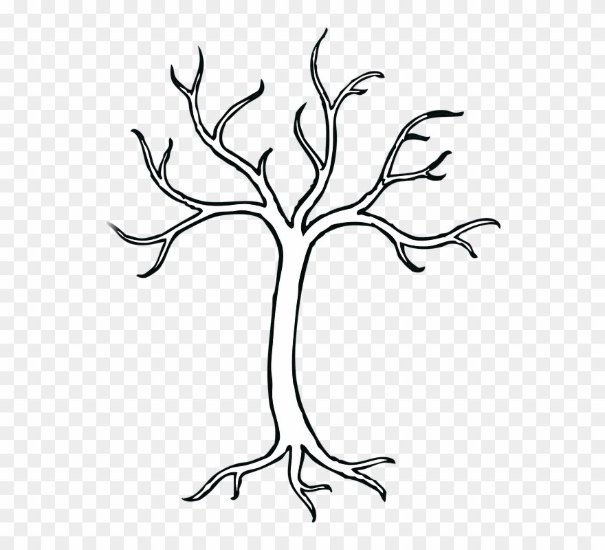 Trunk Clipart Empty Tree Easy To Draw Tree Without Leaves Png 