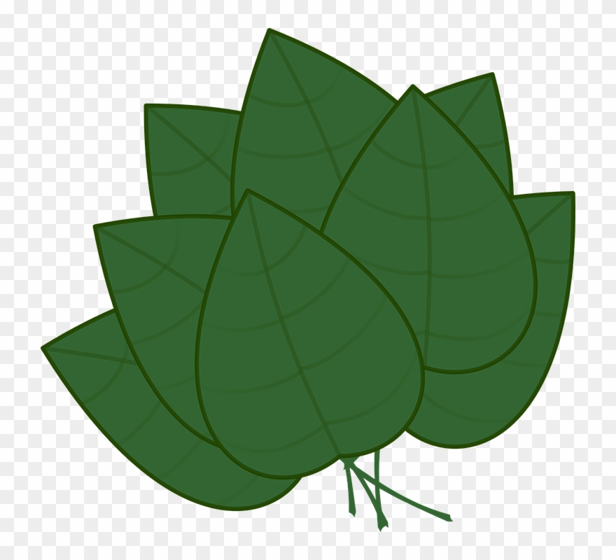 Leaves Bunch Green - Leaves Clip Art - Png Download (#6351) - PinClipart