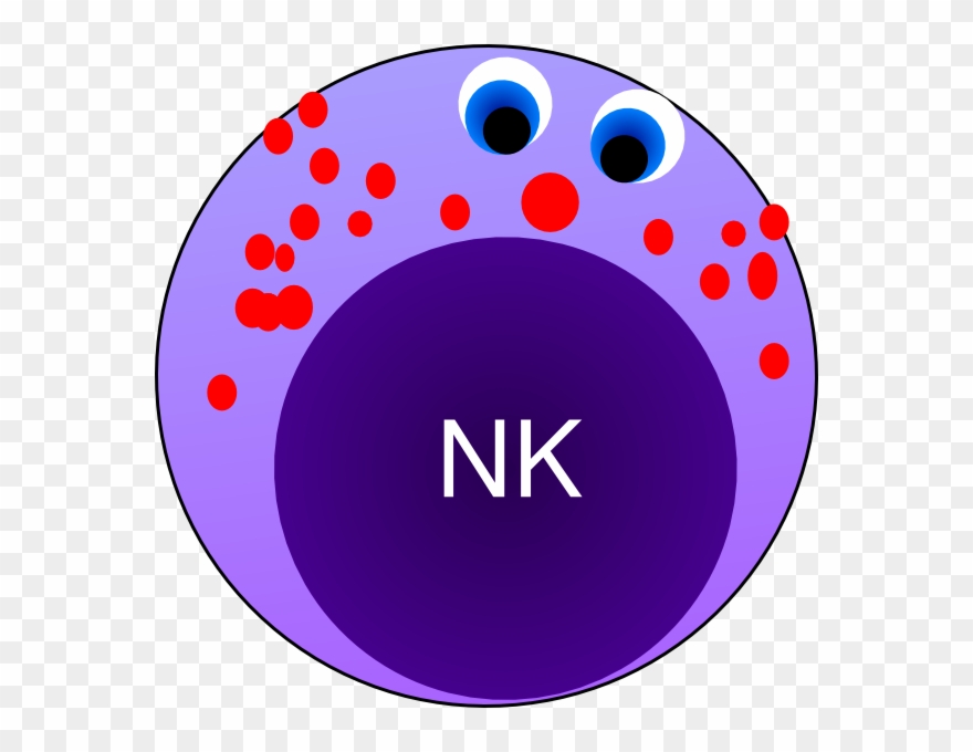 Nk Cell Clip Art - Natural Killer Cells Clipart - Png Download (#8791 ...