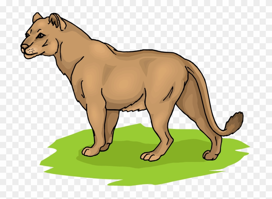 Download Other Popular Clip Arts - Lioness Clipart Png Transparent Png ...
