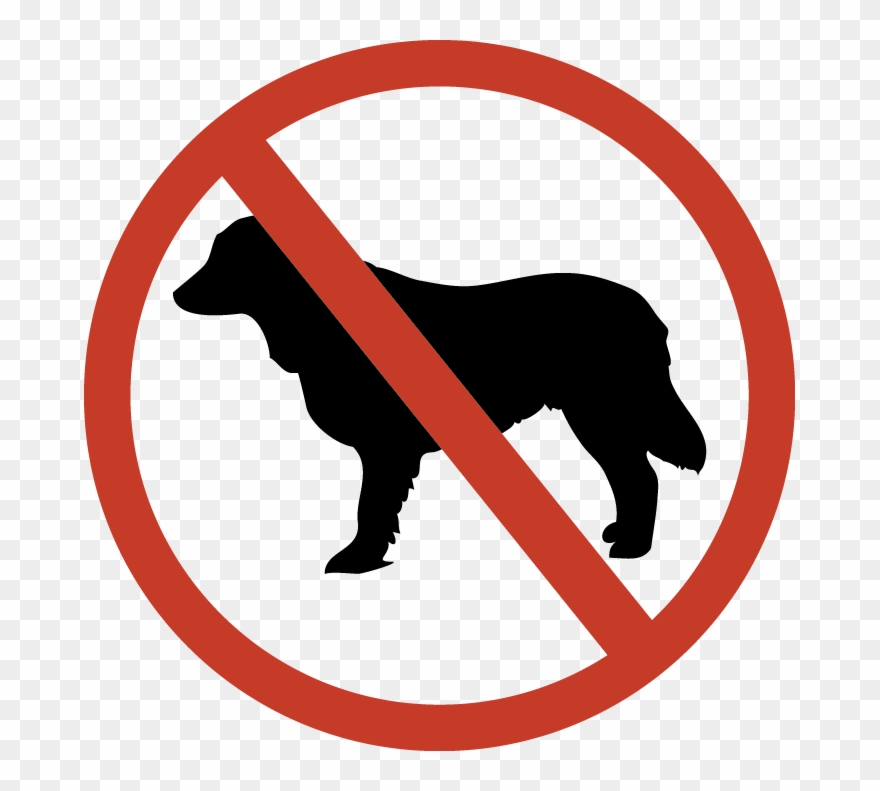 Download City Of Clayton Ordinances Clipart (#1000575) - PinClipart