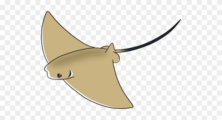 Cownose Ray Clipart - Png Download (#1005703) - PinClipart