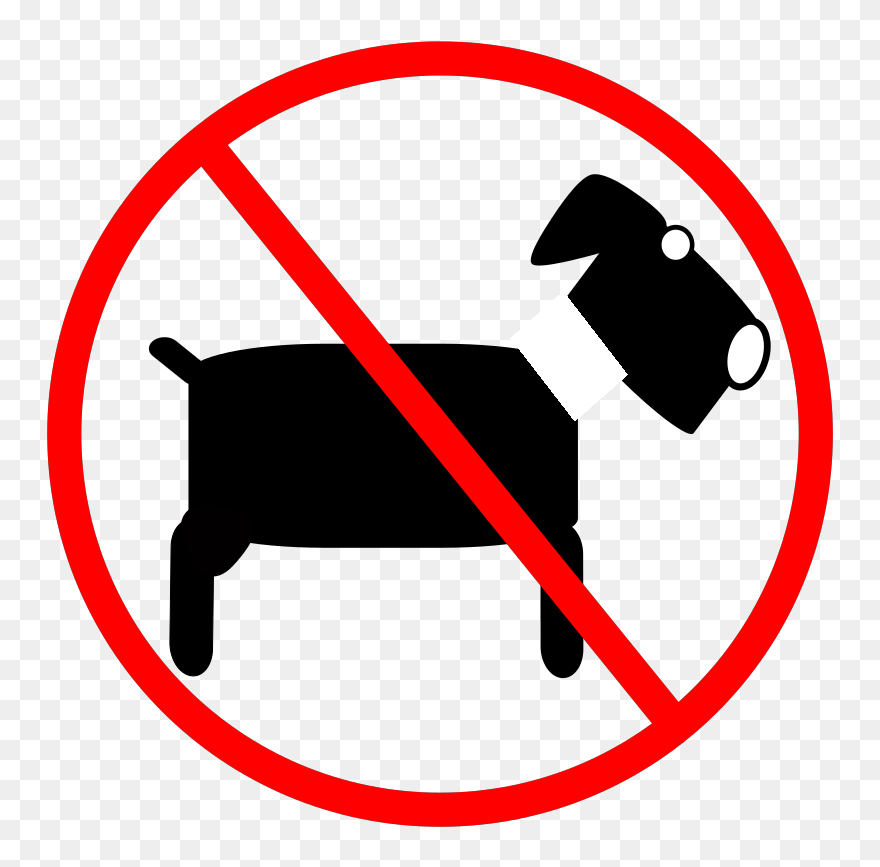 All Photo Png Clipart - Animals Banned Transparent Png (#1024875 ...