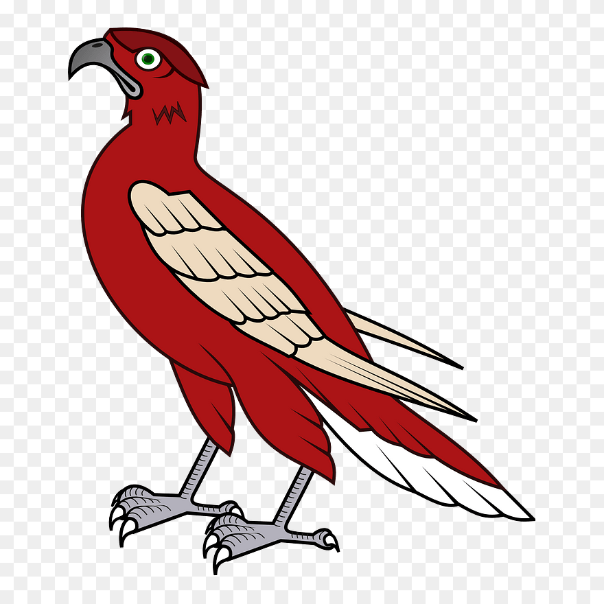 Cartoon Falcon Clipart - Falcon - Png Download (#1051402) - PinClipart