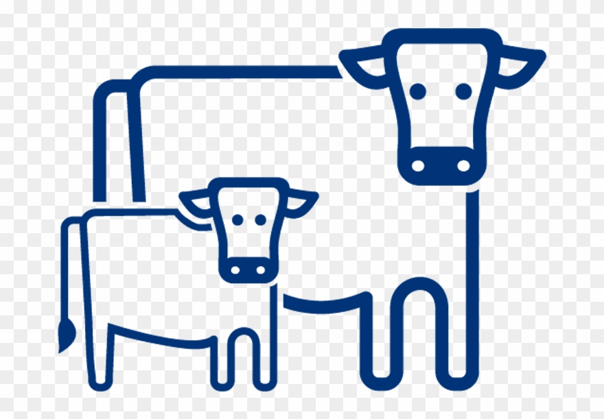 Cow-calf - Health Clipart (#1058463) - PinClipart