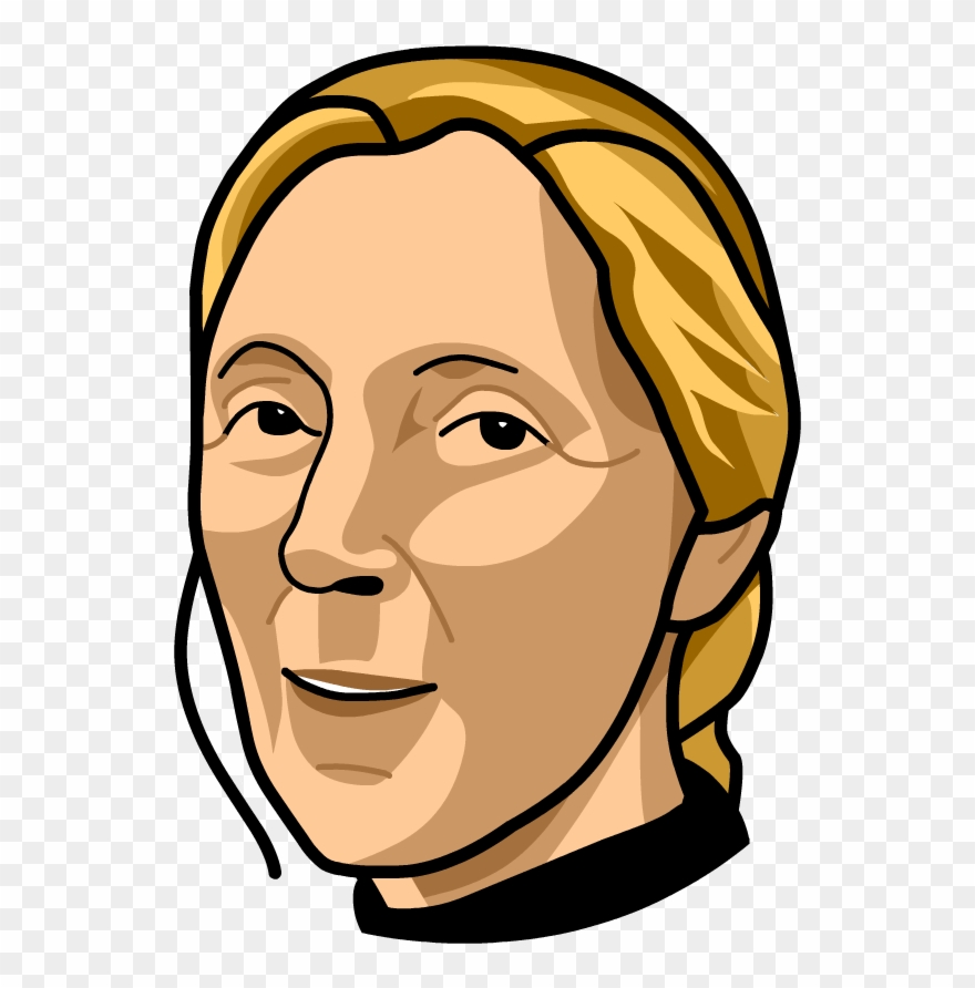 Jane Goodall - Illustration Clipart (#1068138) - PinClipart