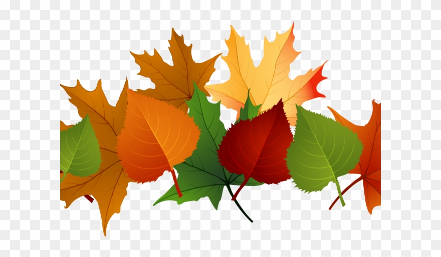 Download Leaves Clipart Rustic - Pile Of Leaves Clipart - Png Download ...