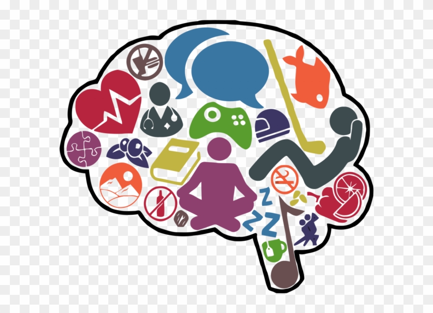 Healthy Brain Clipart (#1104865) - PinClipart
