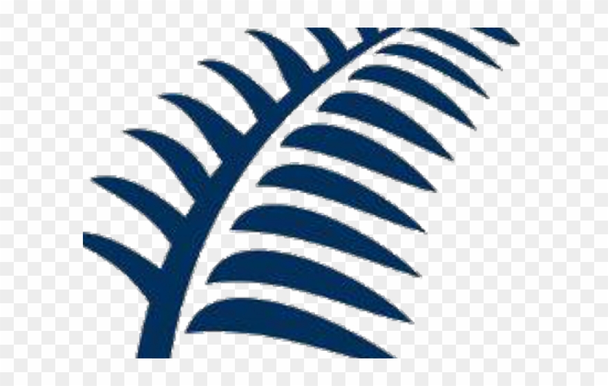 Download Silver Fern Clipart (#1135688) - PinClipart