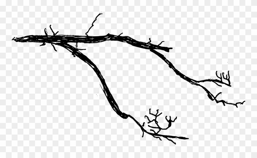 Free Download - Twig Clipart (#1148660) - PinClipart