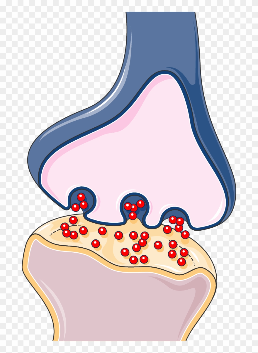 Synapse - Synapse Png Clipart (#1195334) - PinClipart