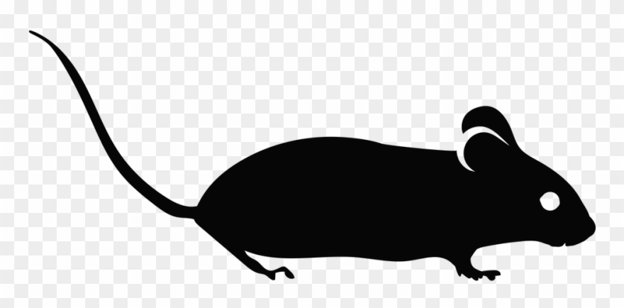 Desert Mouse Cliparts 1, Buy Clip Art - Mice Icon - Png Download ...