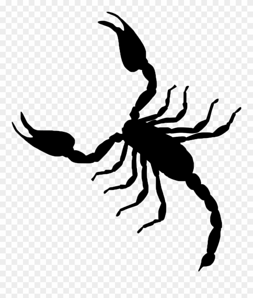 Download Elephant Katze Scorpio Croc - Understanding The Alacran By ...