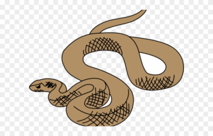 Python Clipart Pet Snake - Brown Tree Snake Clip Art - Png Download ...