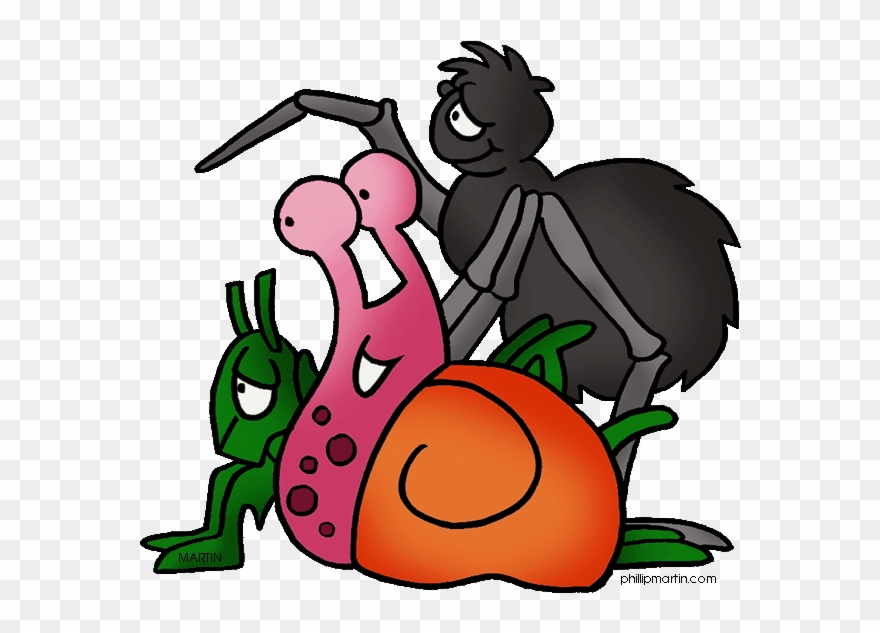 Download Mollusc Clipart Minibeast - Vertebrates And Invertebrates ...