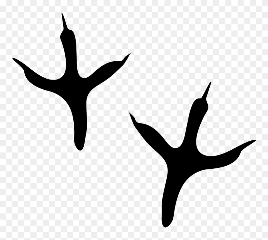 Eagle Tracks Rubber Stamp - Bald Eagle Footprint Clipart (#1272374 ...