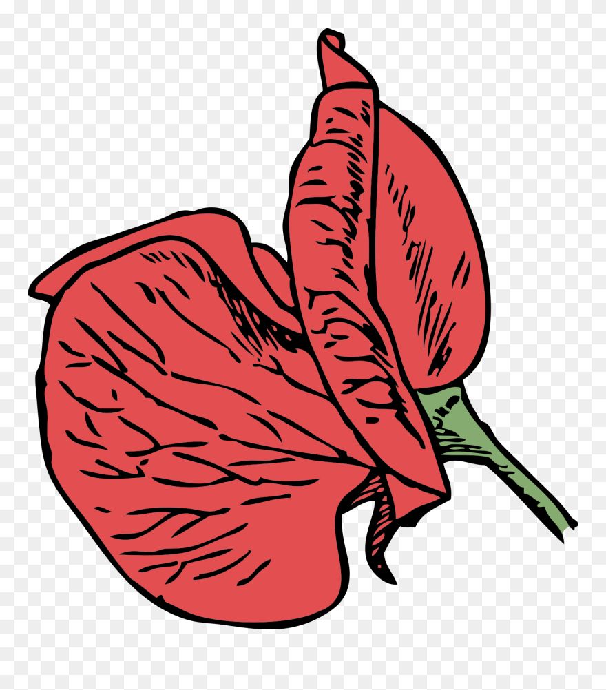 Sweet Pea Flower Clip Art - Sweet Pea Flower Cartoon - Png Download ...