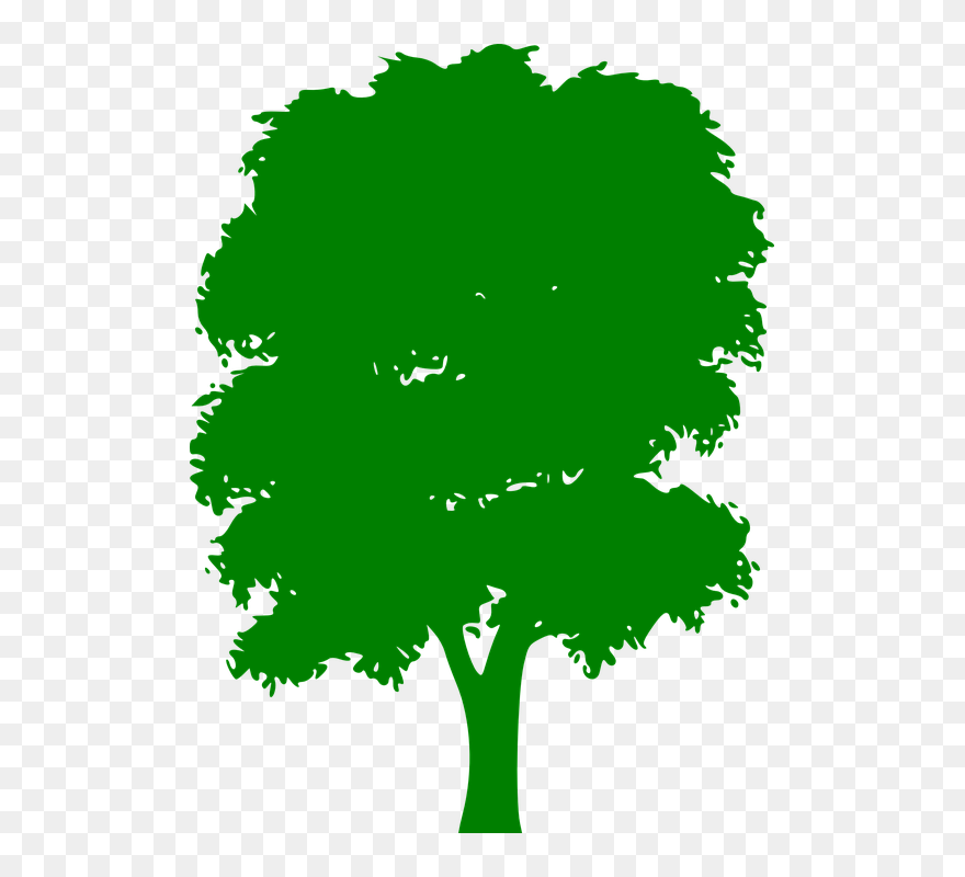 Vector - Green Tree Clip Art - Png Download (#1330392) - PinClipart