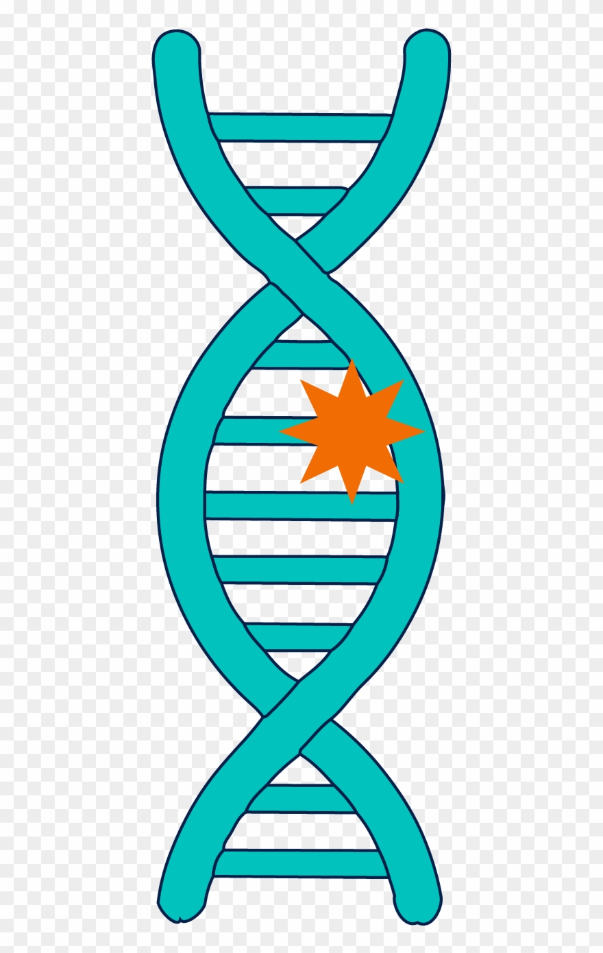 Download A Mutation In A Gene Refers To A Change In The Underlying ...