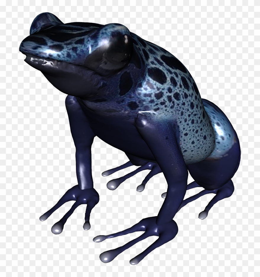 Download Clip Art Underside Of Png Blue - Poison Dart Frog Png ...