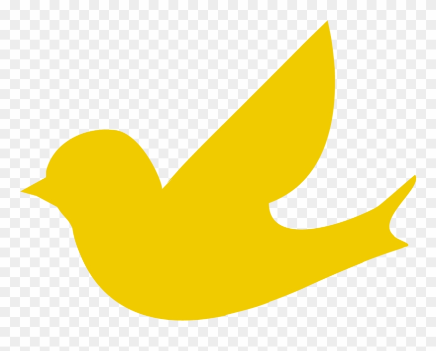 Canary Kids Film Project - Canary Png Logo Clipart (#1480663) - PinClipart