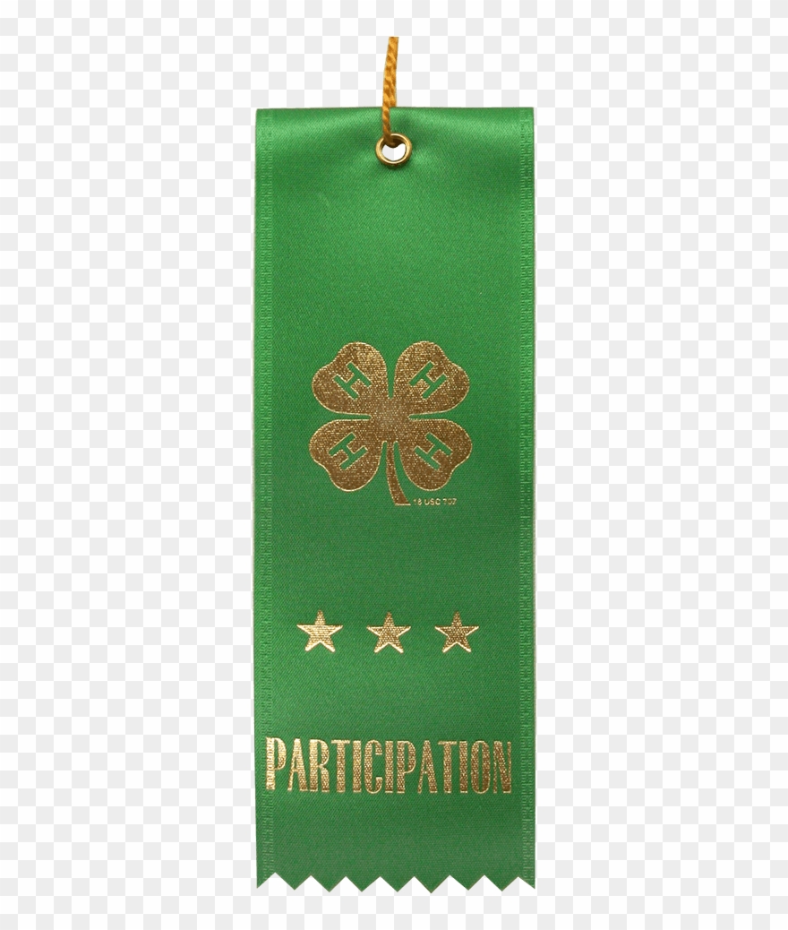 Pin Outstanding Attendance Ribbon Png Pin Outstanding - Participation ...