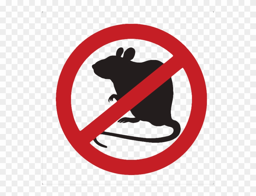 Professional Rat Control Solutions - Rats Banned Clipart (#1503491 ...