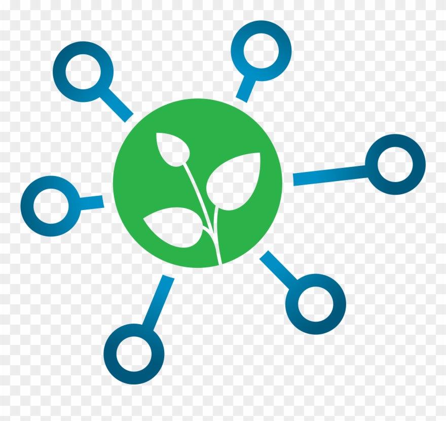 Decentralized Ecosystem Growth - Link Analysis Icon Png Clipart ...