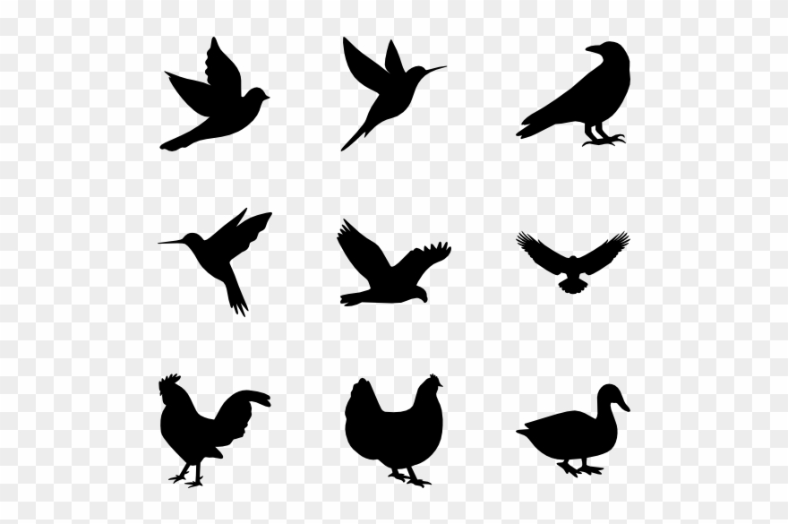 Bird Icons - Bird Png Vector Clipart (#1523324) - PinClipart