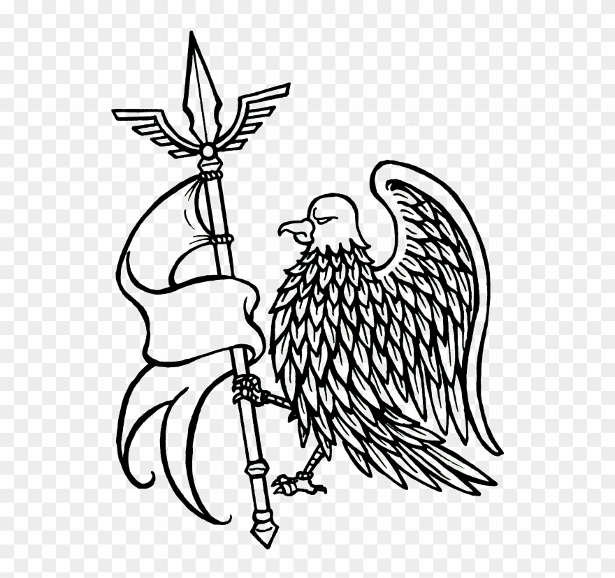 Horus - Falconiformes Clipart (#1541206) - PinClipart