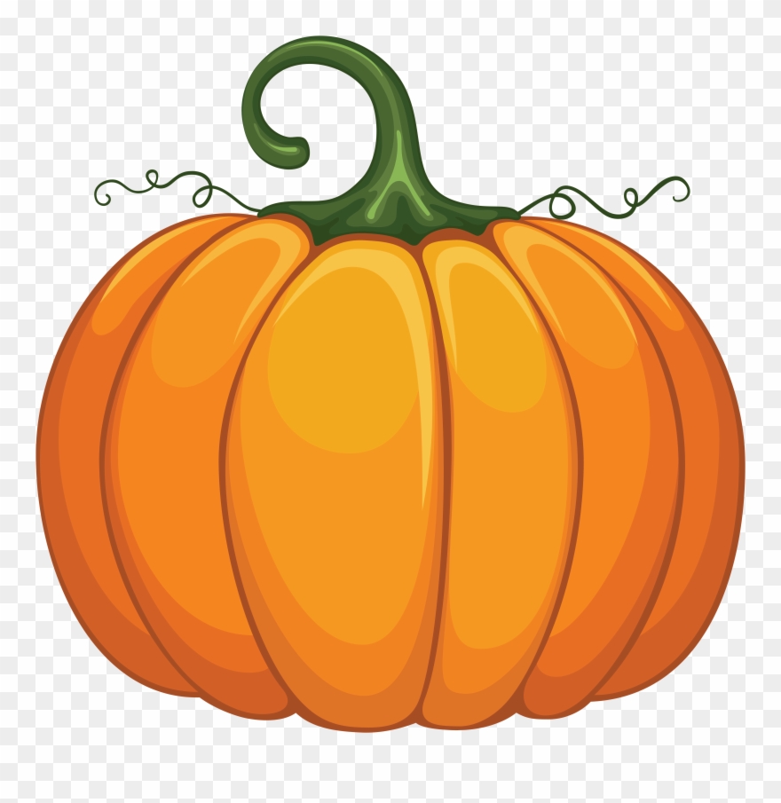 Transparent Background Pumpkin Clipart - Png Download (#1544016 ...