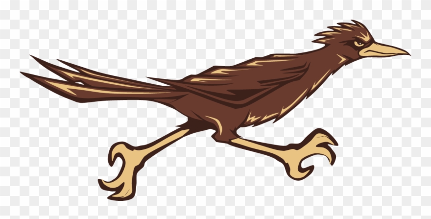 Download Road Runner, Logos, Logo - Roadrunner Logos Clipart (#1586078 ...
