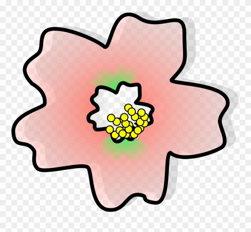 Download Japan Cherry Blossom Flower Drawing - ดอก ญี่ปุ่น Png Clipart ...